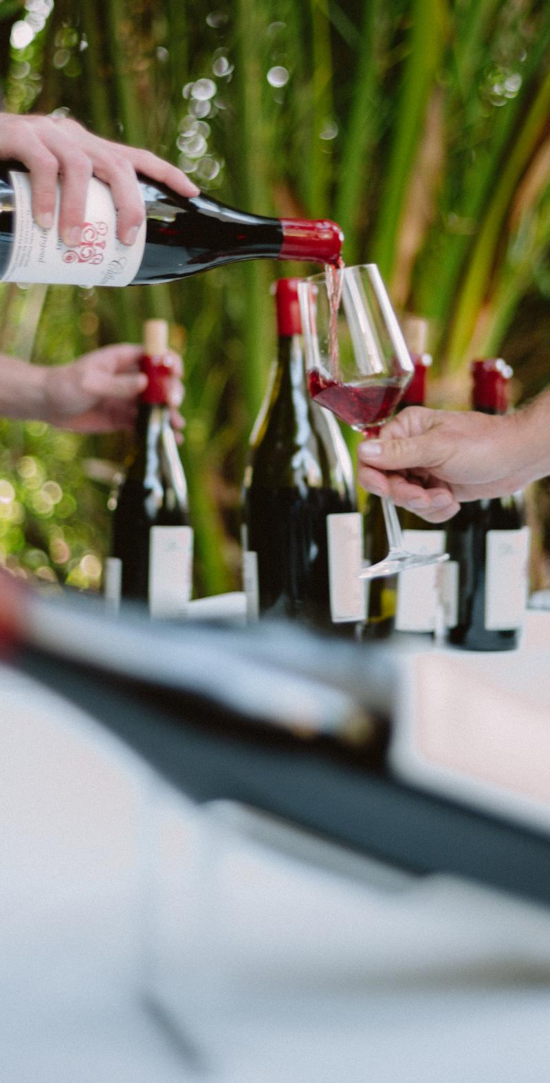 Winemaker Dinner with Chef Jeremy Fox Tasting Menu | By Greg Brewer