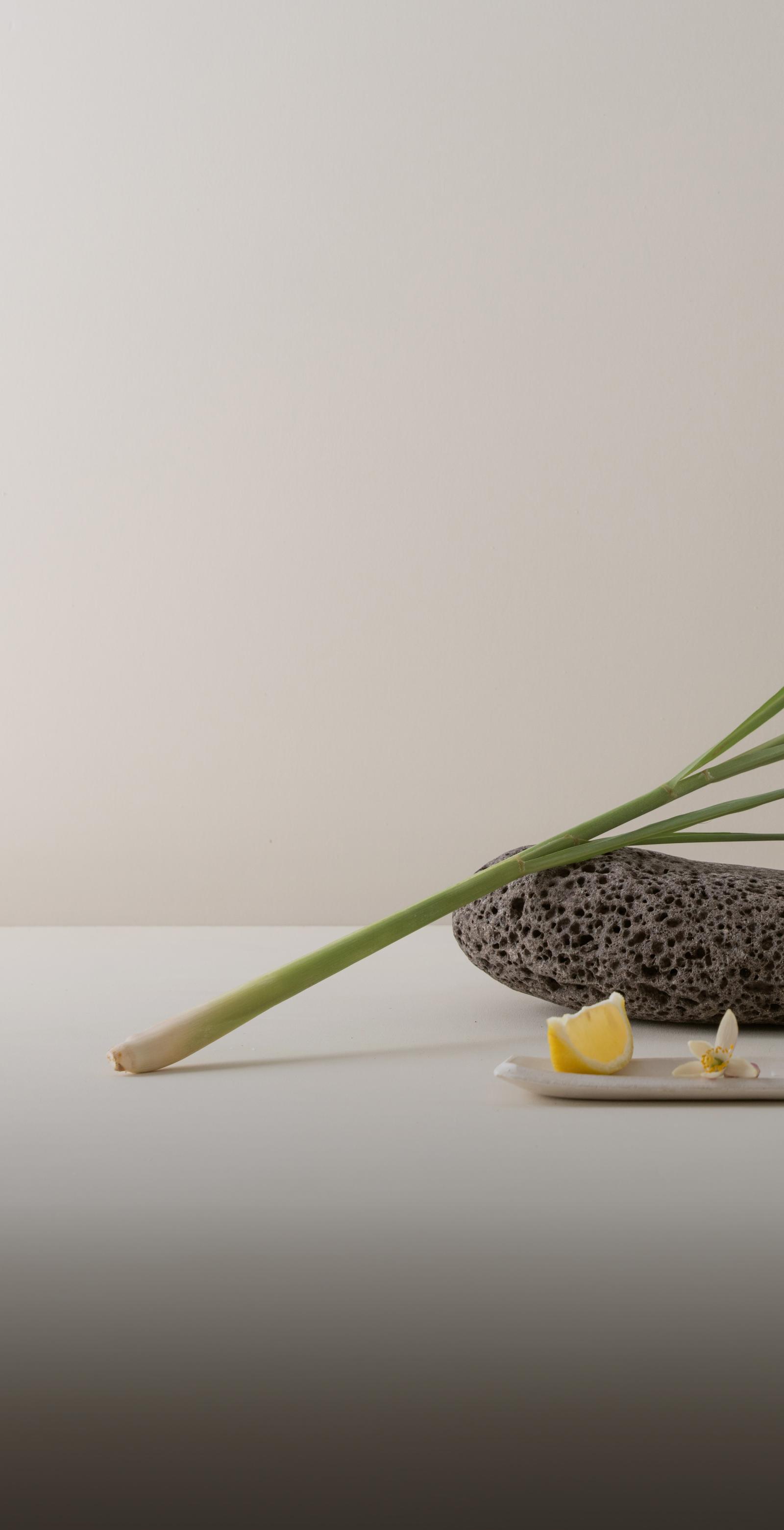 Wines by Greg Brewer