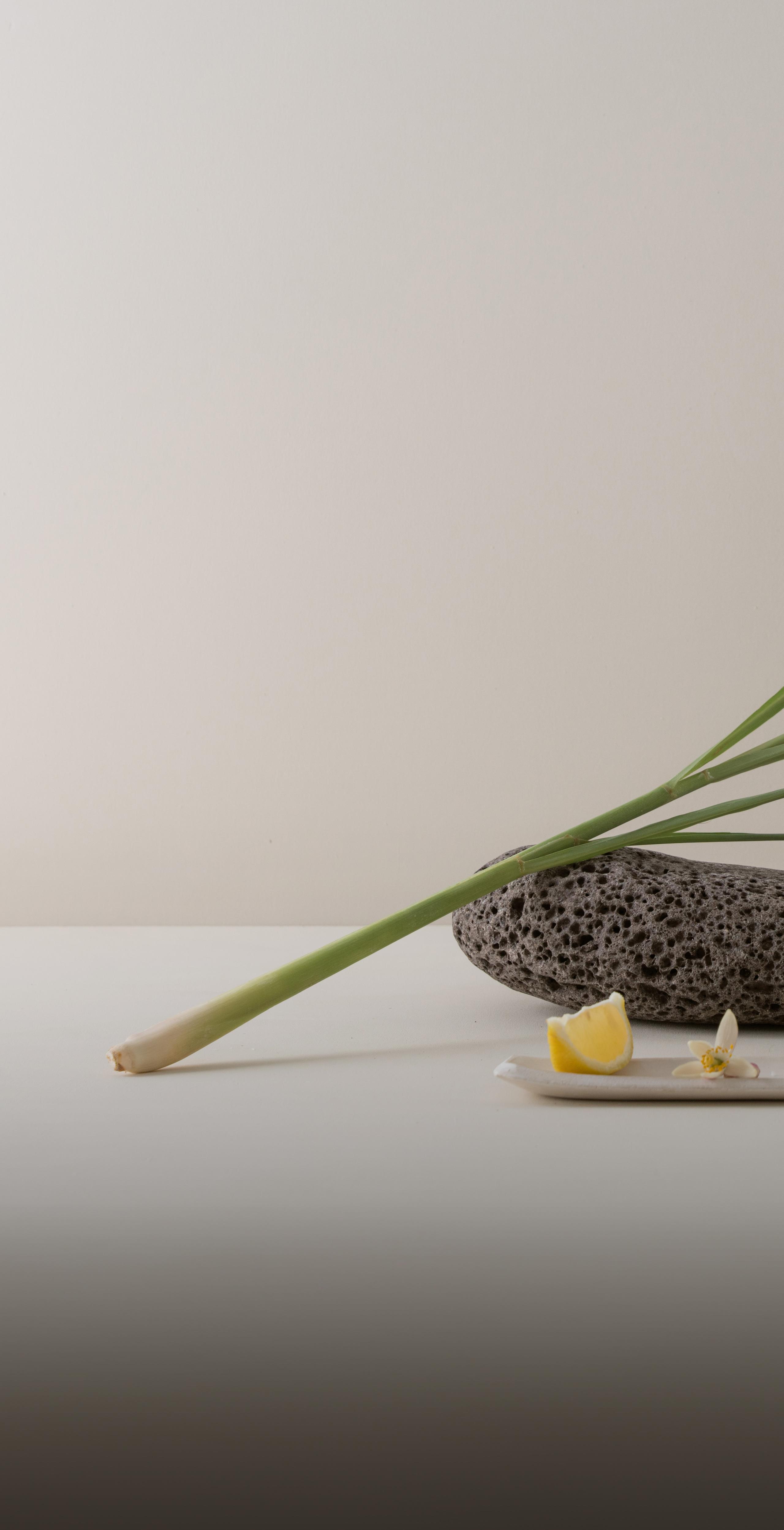 Wines by Greg Brewer